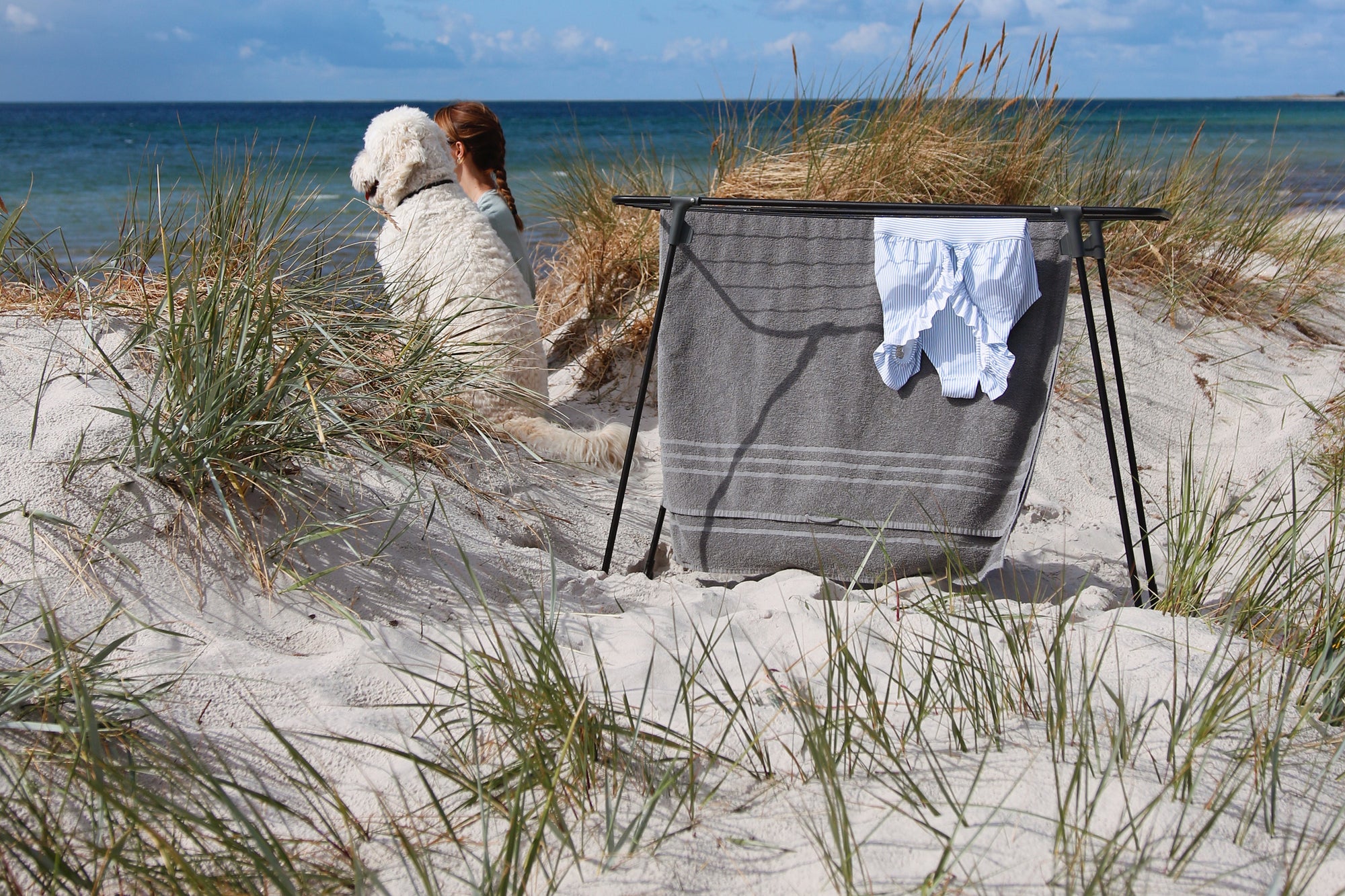 United Nations sustainable development goals – SINI.COM