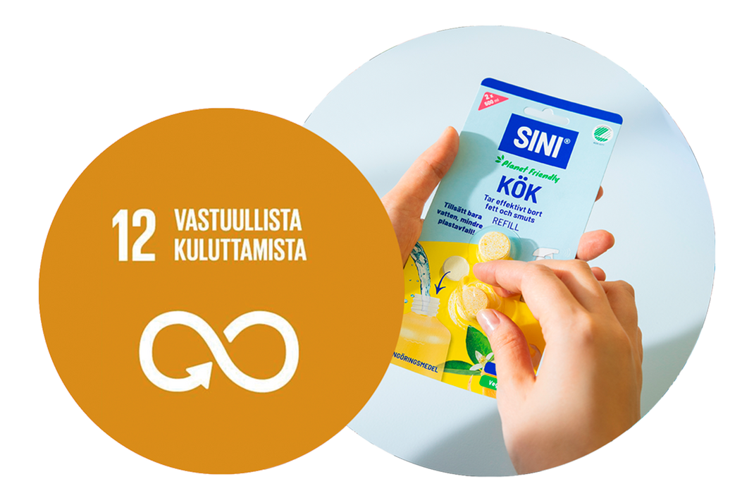 United Nations sustainable development goals – SINI.COM